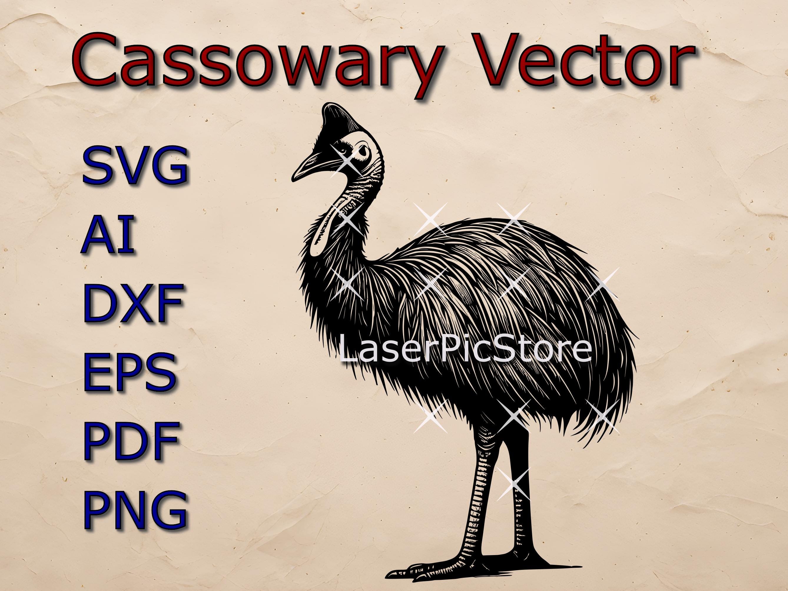Cassowary Vector File - SVG AI DXF and More - Australian Animal Svg ...