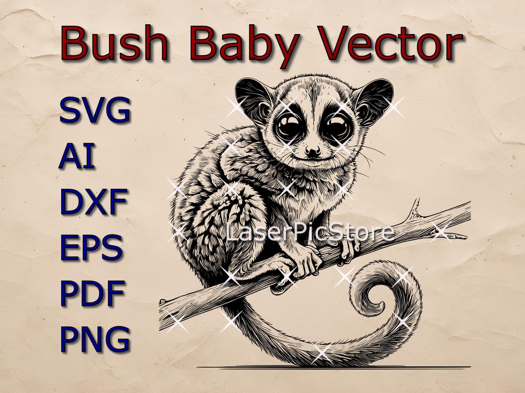 Bush Baby Vector File - SVG AI DXF - African Animal Svg - Nagapie Laser ...