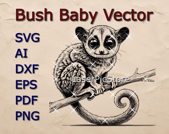 Bush Baby Vector File - SVG AI DXF - African Animal Svg - Nagapie Laser ...