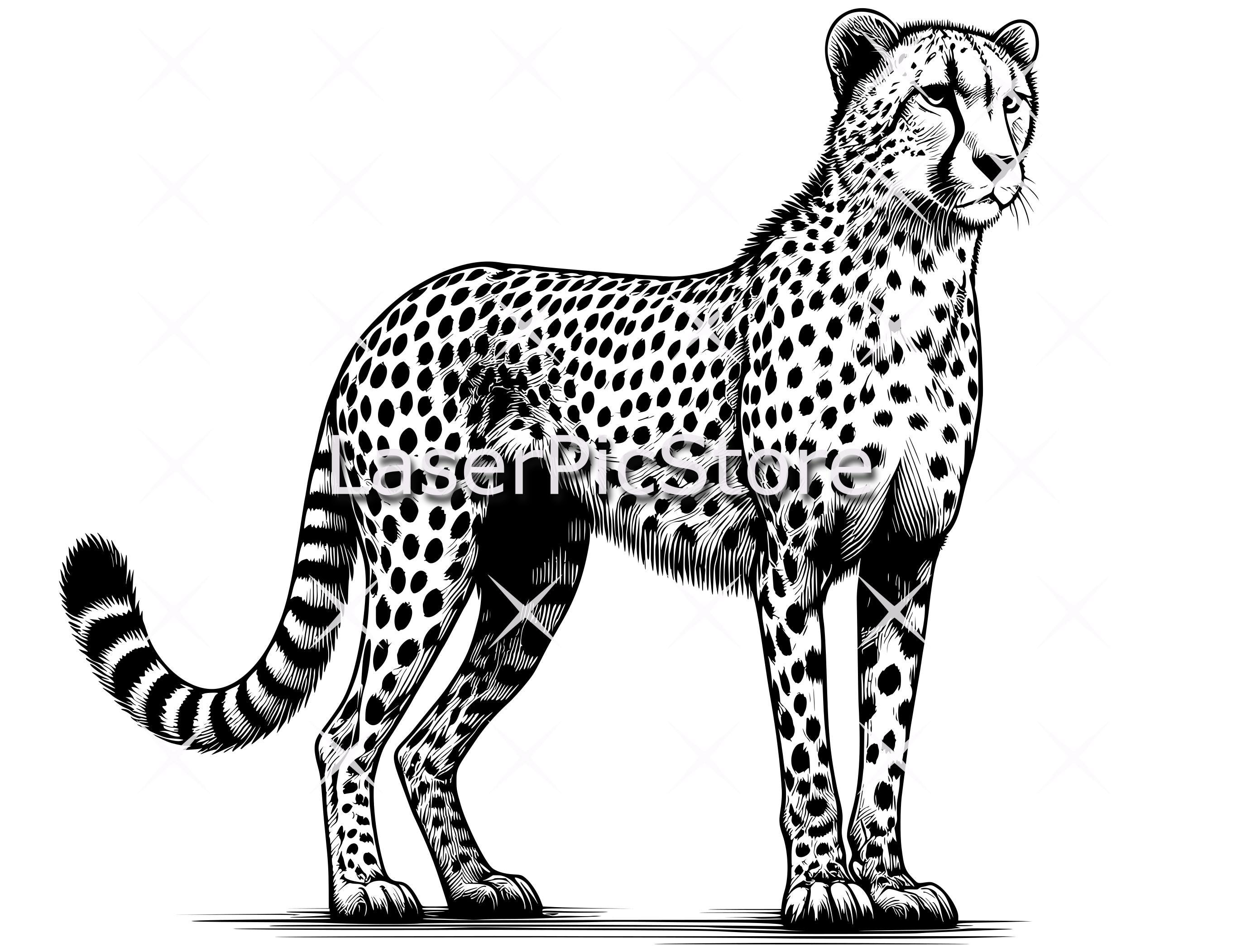 African Animal Vector Files - SVG AI DXF and More - 10 Animals - Set 1 ...