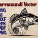 Jumping Barramundi Vector File - SVG PNG DXF - Barramundi Svg ...