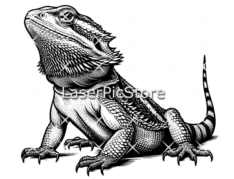 Australian Animal Vector Files - SVG AI DXF and More - 10 Animals - Set ...