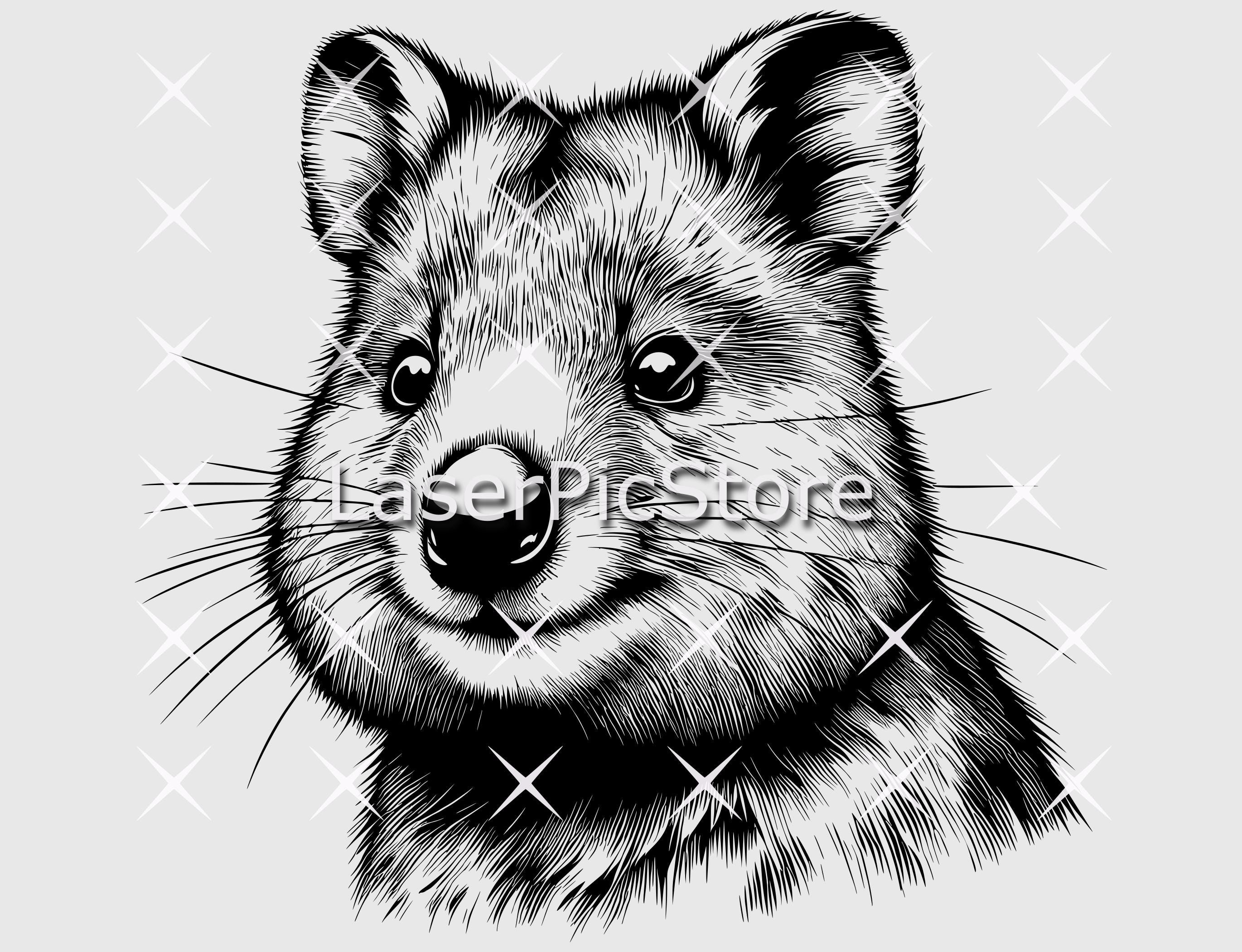 Detailed Vector of a Cute Quokka Head - SVG AI DXF + More - Australian ...