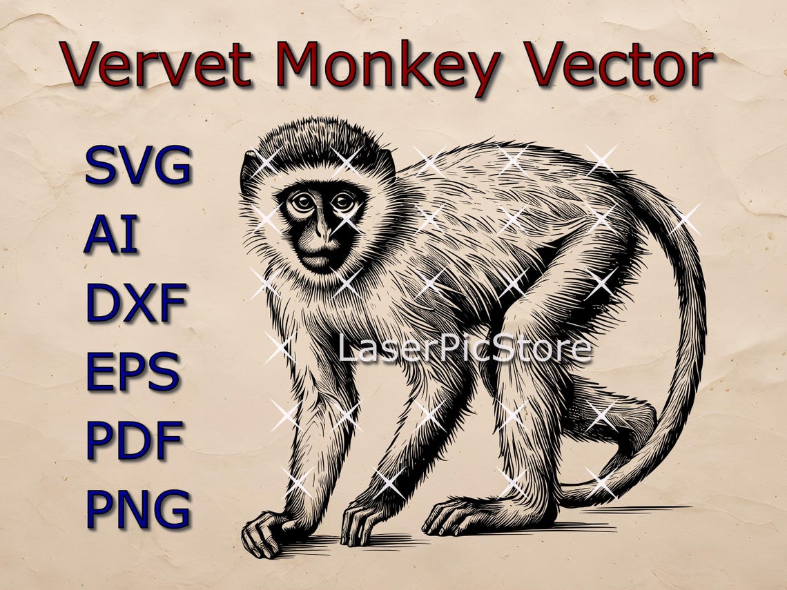 Vervet Monkey Vector File - SVG AI DXF - African Animal Svg - Vervet ...