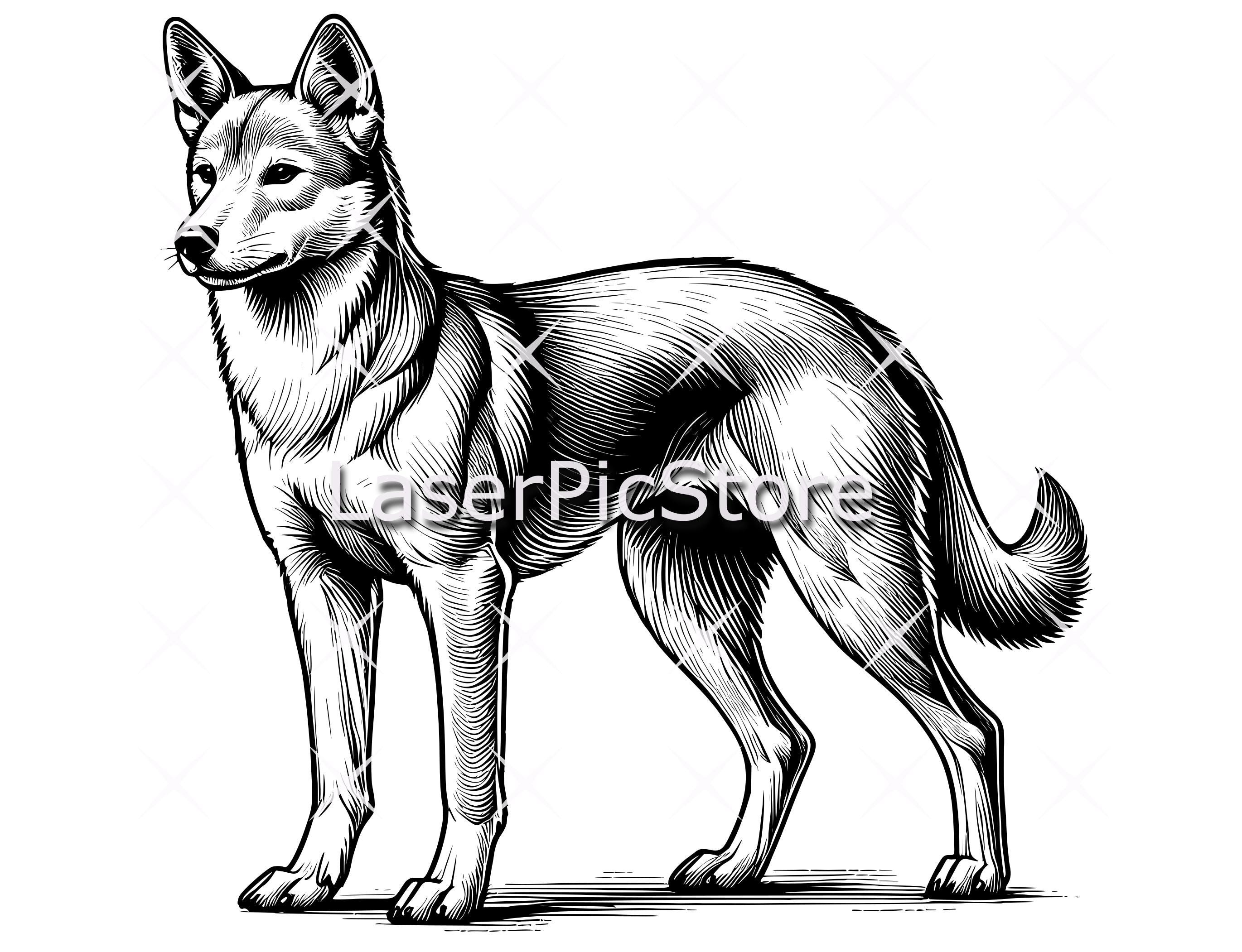 Australian Animal Vector Files - SVG AI DXF and More - 10 Animals - Set ...