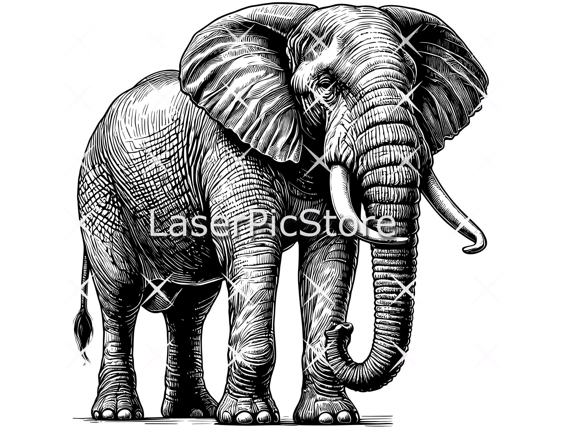 African Animal Vector Files - SVG AI DXF and More - 10 Animals - Set 2 ...