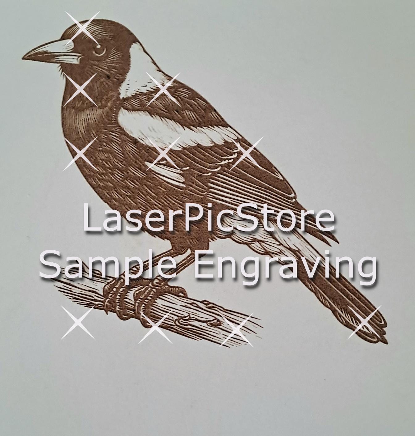 Magpie Vector File - SVG AI DXF and More - Australian Birs Svg - Etsy ...