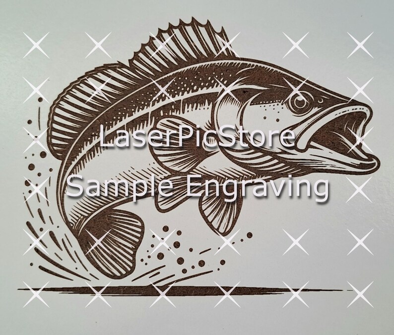 Jumping Barramundi Vector File - SVG PNG DXF - Barramundi Svg ...