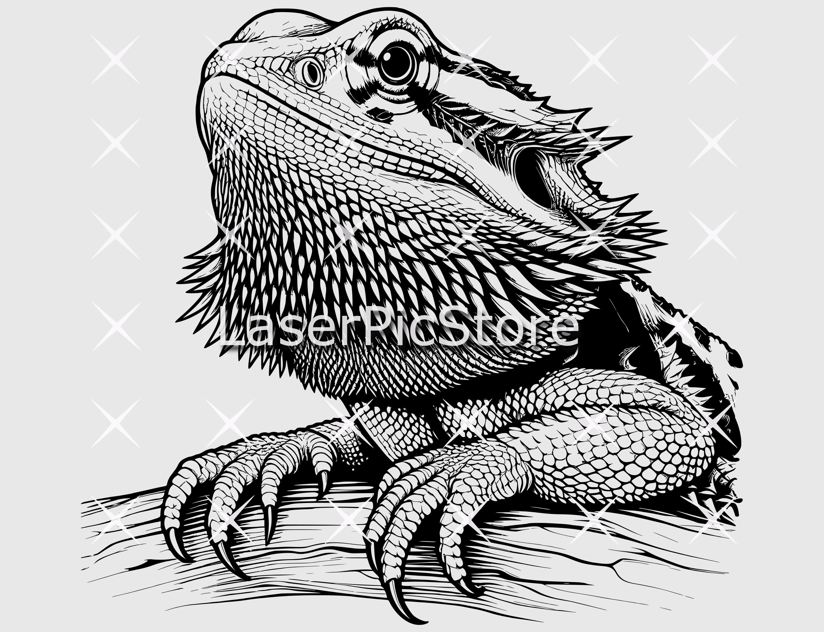 Bearded Dragon Head Vector File - SVG AI DXF - Australian Animal Svg ...