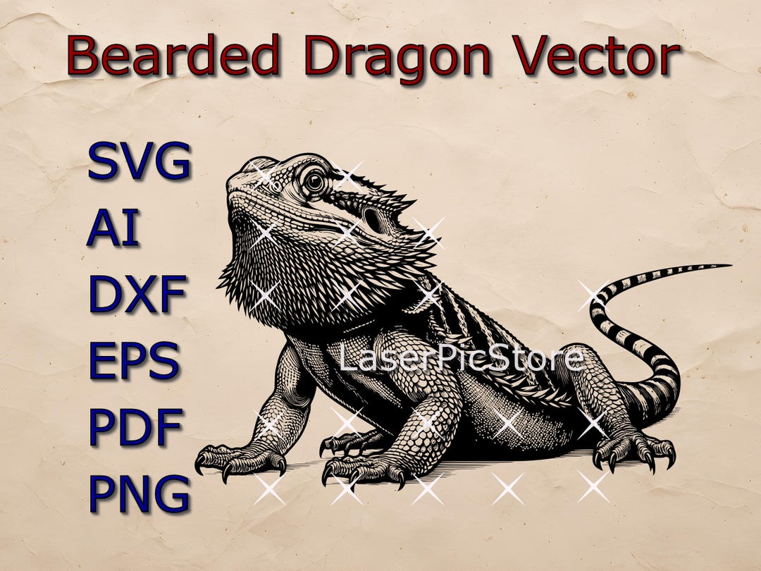 Bearded Dragon Vector File - SVG AI DXF - Australian Animal Svg ...