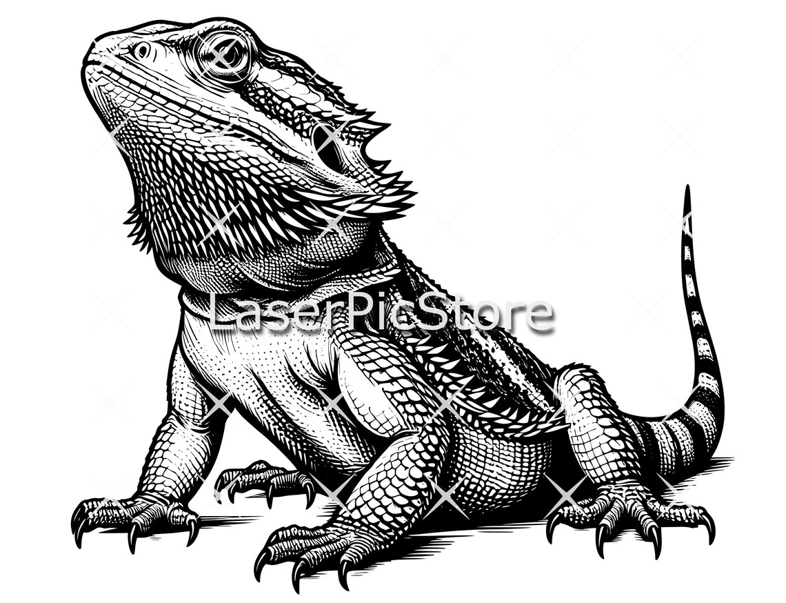 Bearded Dragon Vector File - SVG AI DXF - Australian Animal Svg ...