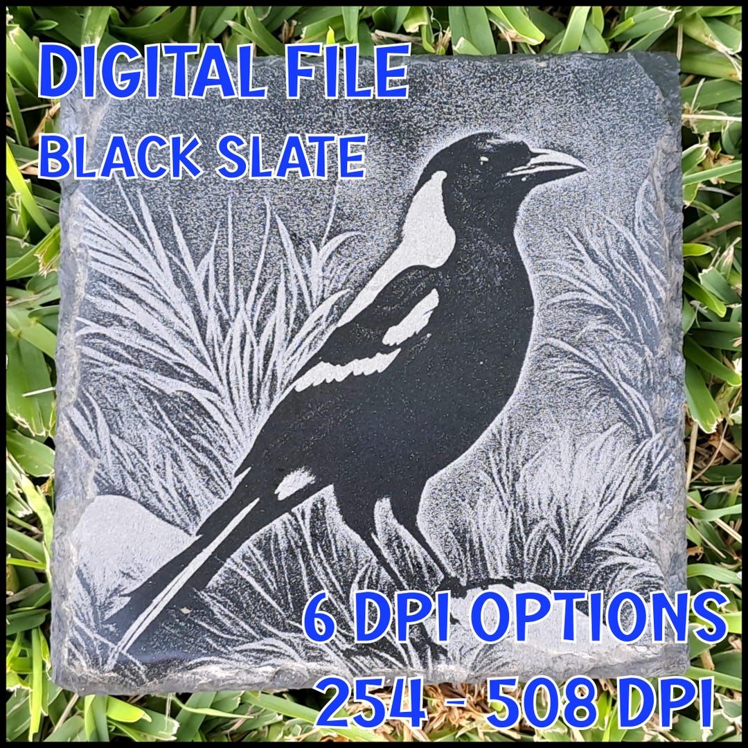 Magpie Prepared Laser Image for Black Slate - Fully Prepared Engraving ...