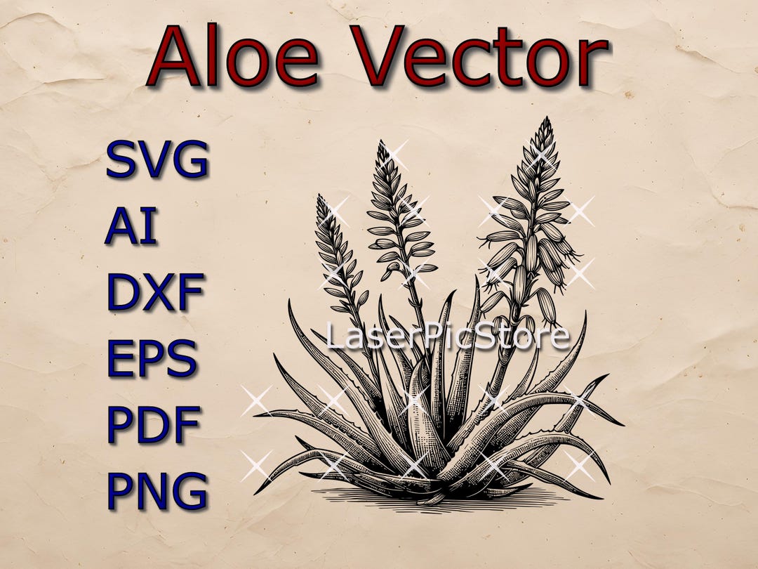 Aloe Vector File - SVG AI DXF - Flowering Aloe Vera Svg - Detailed ...