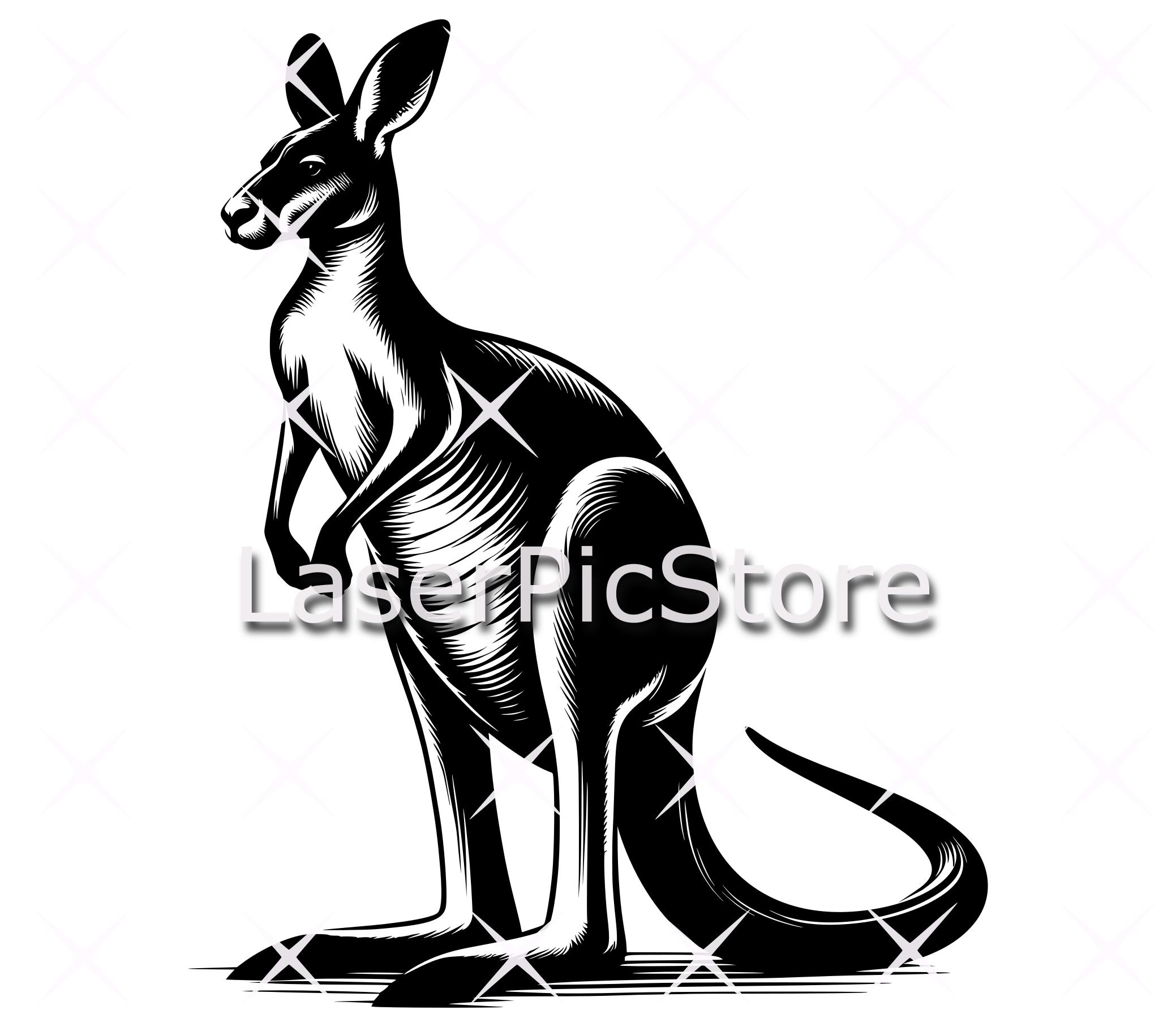 6 Kangaroo Vector Files - SVG AI DXF Eps - Basic Lines Svg Files ...