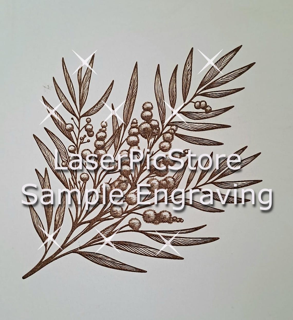 Golden Wattle Vector File - SVG AI DXF - Australian Wattle Svg - Native ...