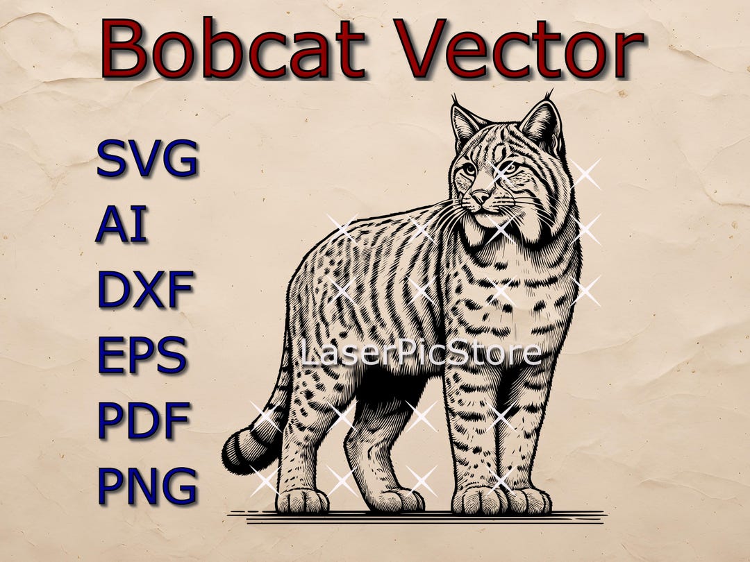 Bobcat Vector File - SVG AI DXF - American Animal Svg - Lynx Laser File ...