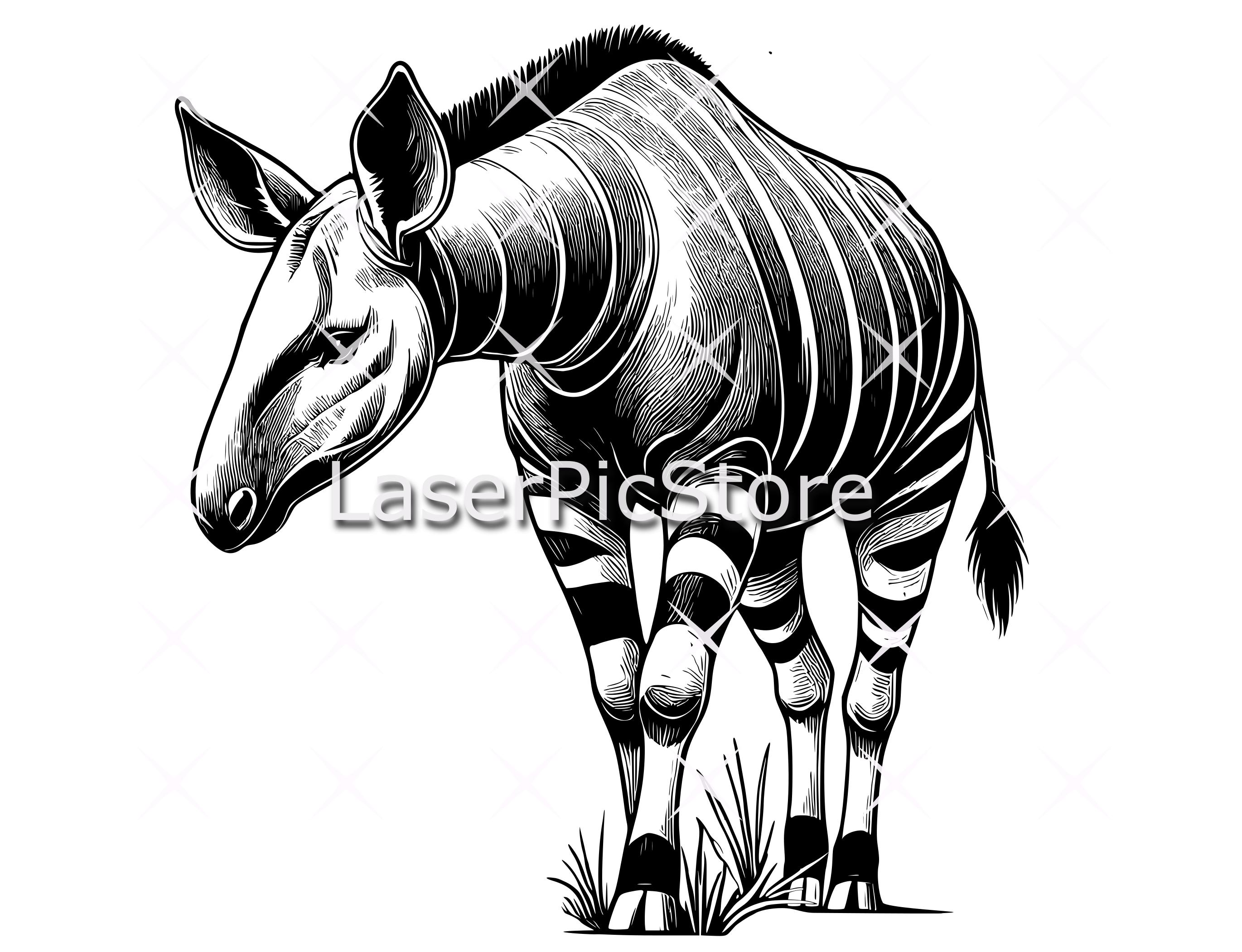 Okapi Vector File - SVG AI DXF - African Animal Svg - Forest Giraffe ...