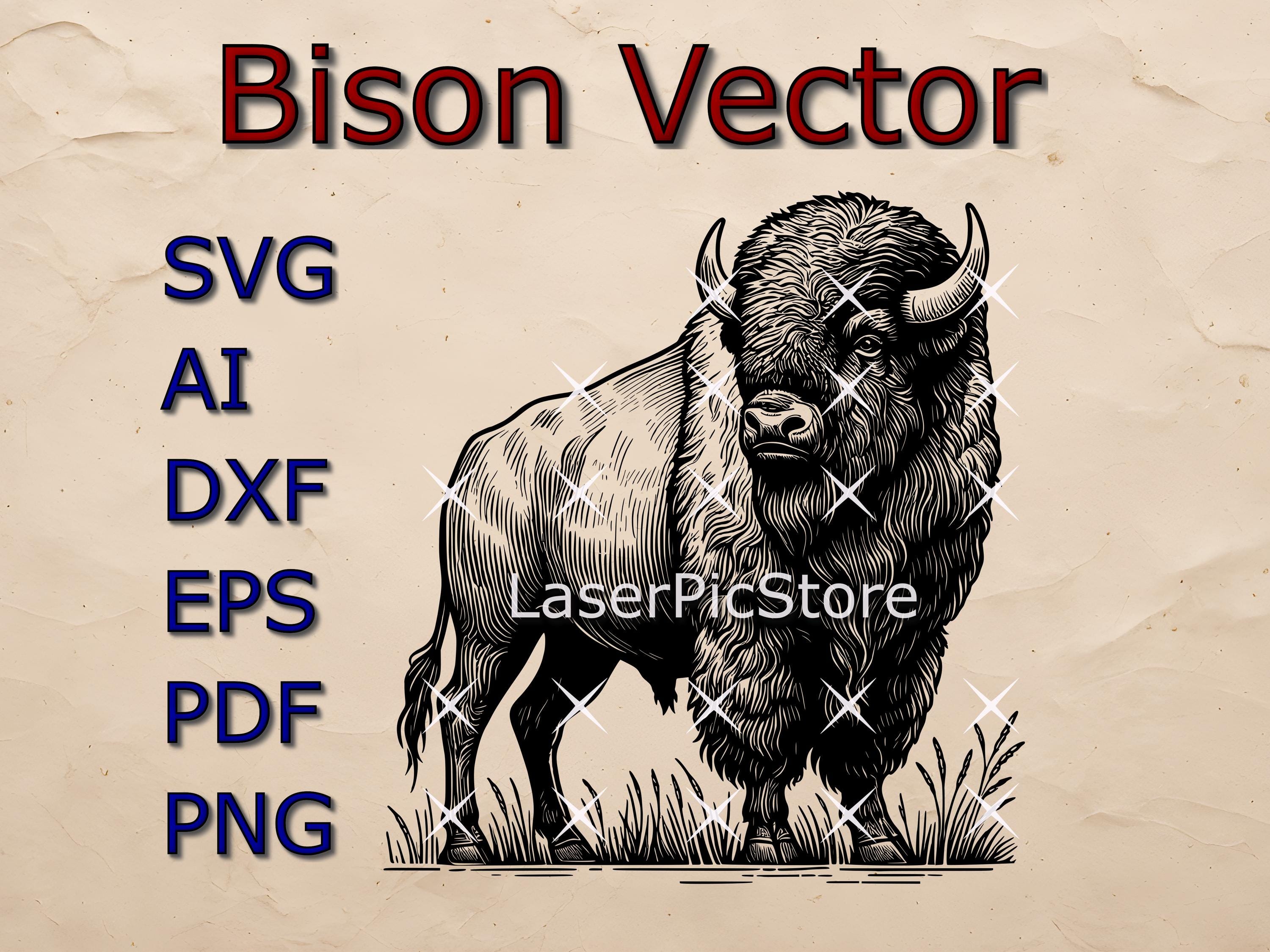 Bison Vector File - SVG AI DXF - American Animal Svg - Bison Laser File ...