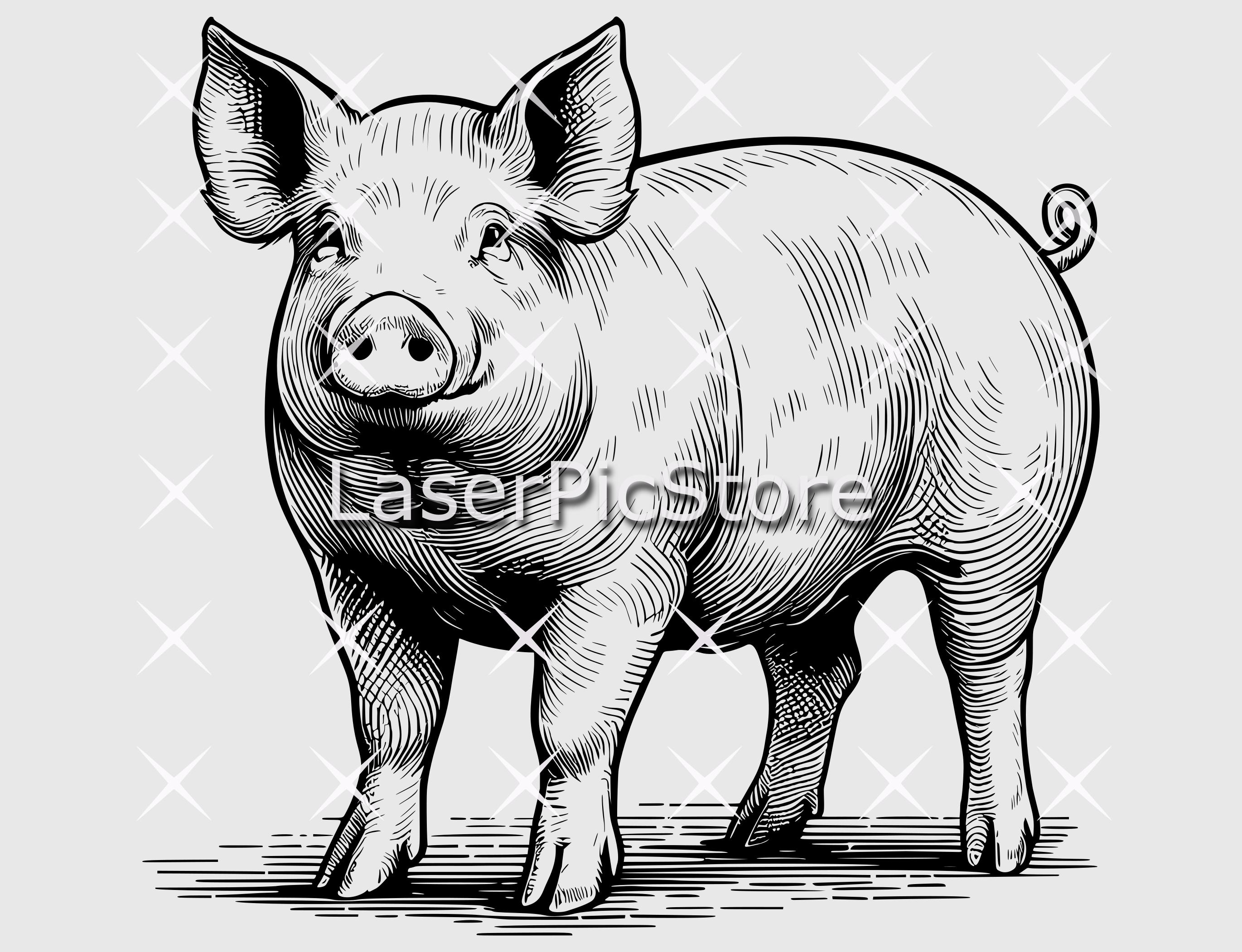 Pig Vector File - SVG AI DXF - Farm Animal Svg - Pig Engraving - Etsy