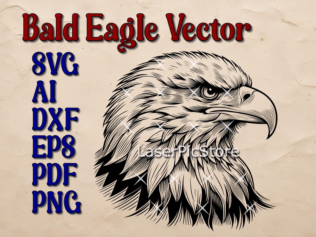 Bald Eagle Head Vector File - SVG AI DXF and More - American Animal Svg ...