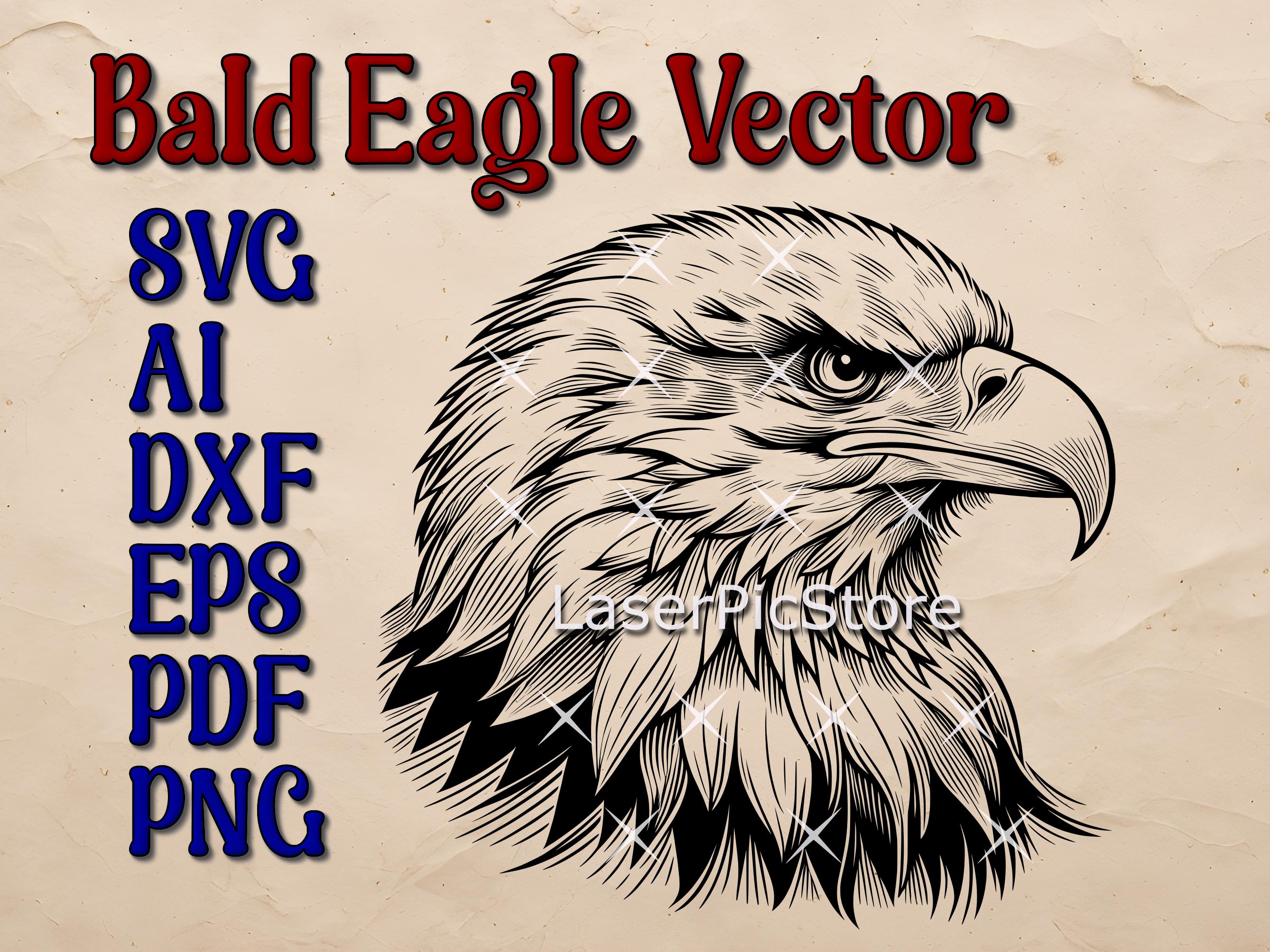 Bald Eagle Head Vector File - SVG AI DXF and More - American Animal Svg ...