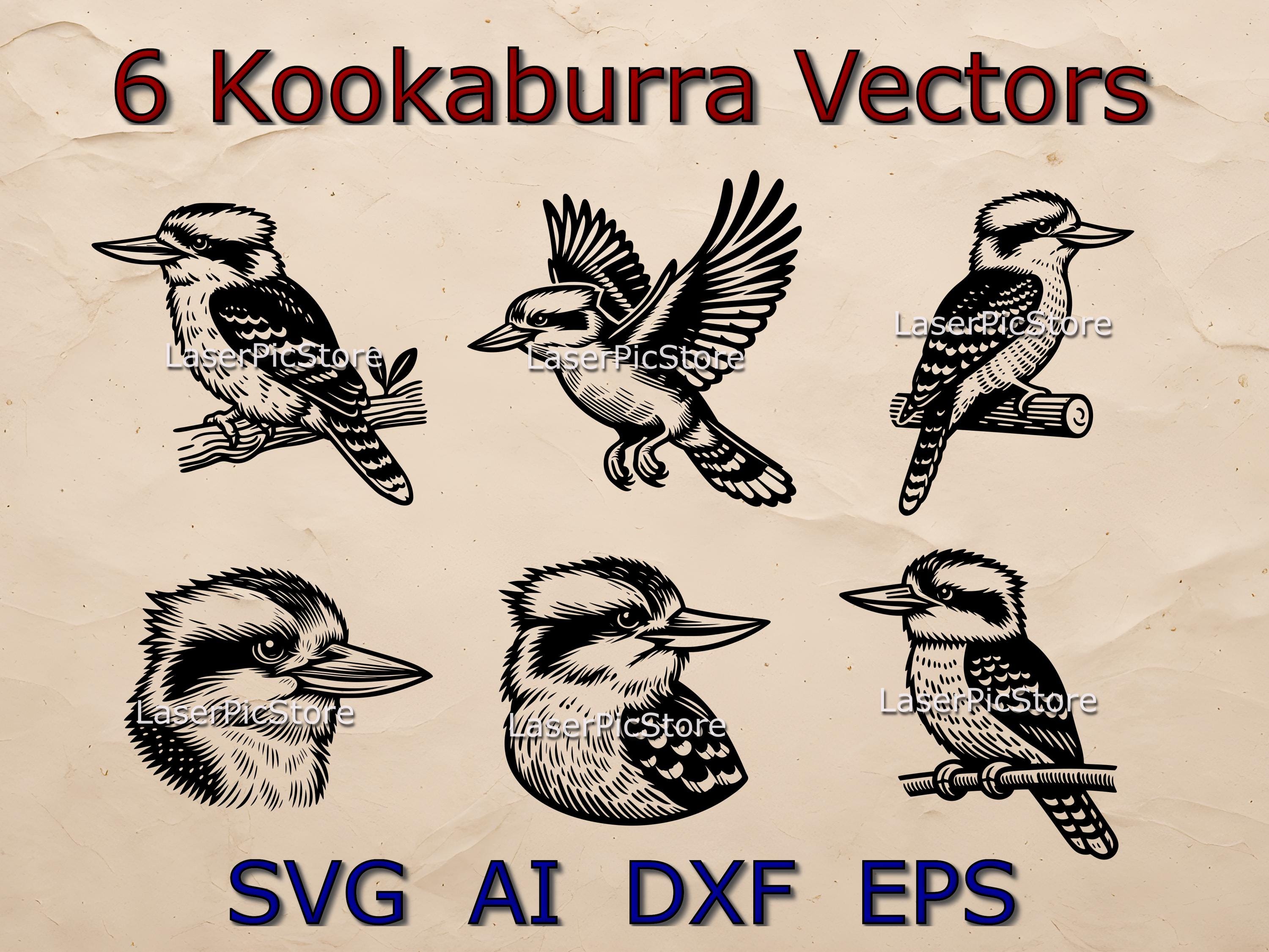6 Kookaburra Vector Files - SVG AI DXF Eps - Basic Lines Svg Files ...