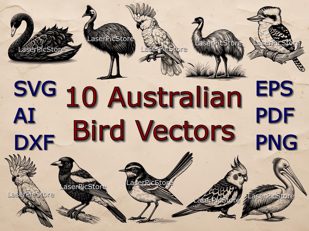 Australian Birds Vector Files - SVG AI DXF and More - 10 Birds - Etsy