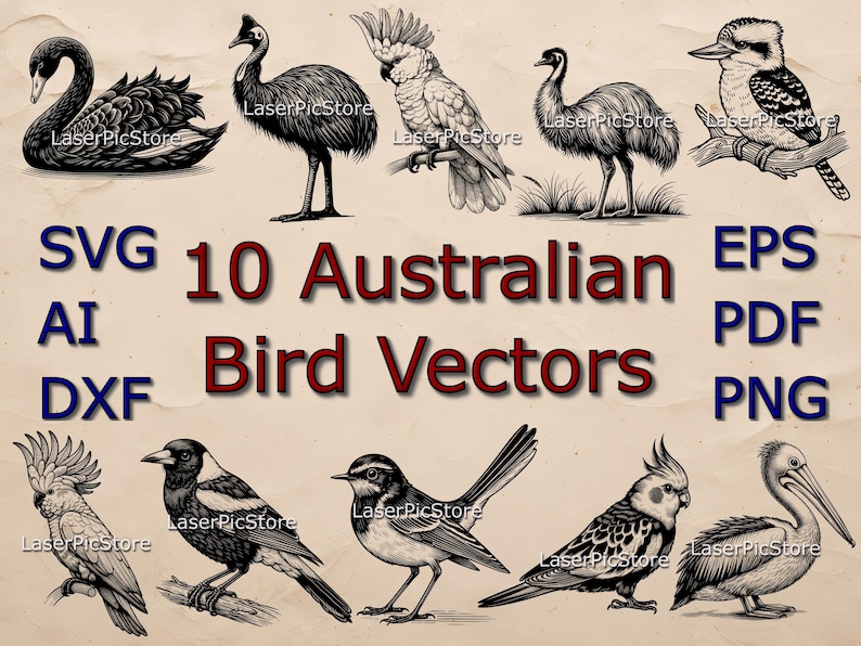 Australian Birds Vector Files - SVG AI DXF and More - 10 Birds - Etsy