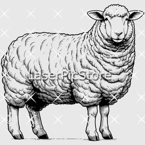 Sheep Vector File - SVG AI DXF - Farm Animal Svg - Sheep Engraving - Etsy