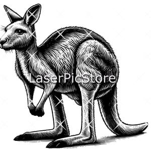 Australian Animal Vector Files - SVG AI DXF and More - 10 Animals - Set ...