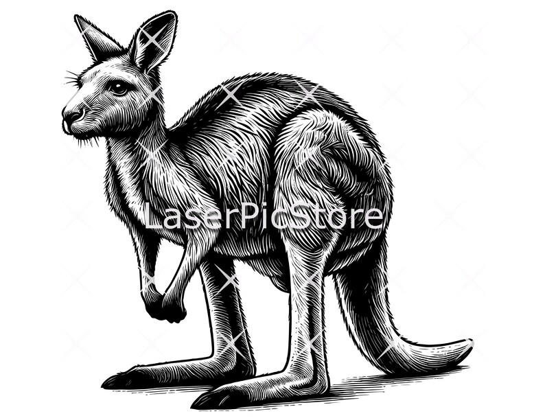 Australian Animal Vector Files - SVG AI DXF and More - 10 Animals - Set ...