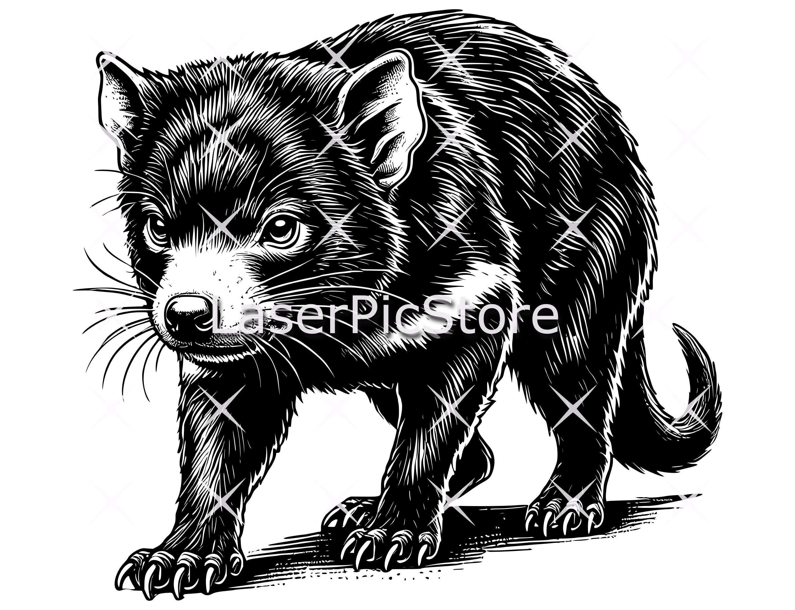 Australian Animal Vector Files - SVG AI DXF and More - 10 Animals - Set ...