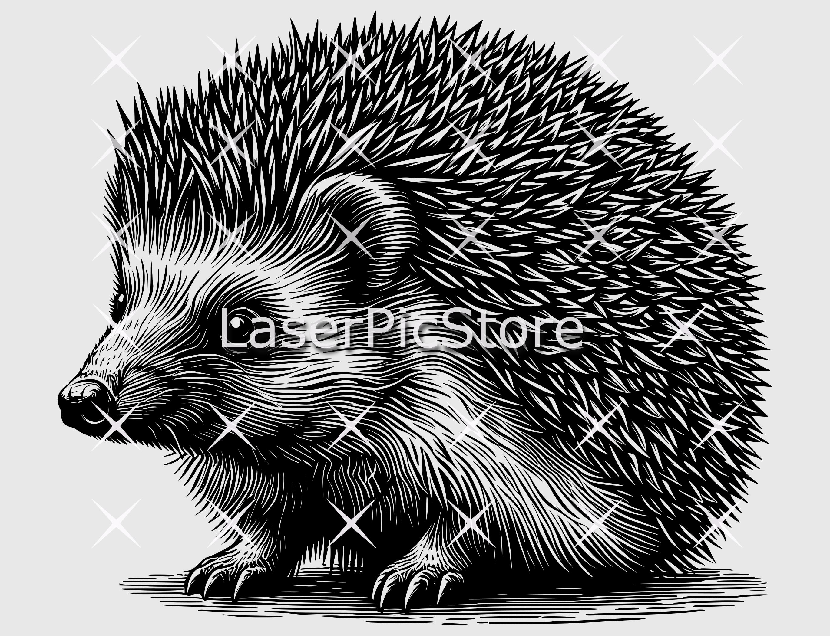 Hedgehog Vector File - SVG AI DXF - European Animal Svg - Laser Files ...