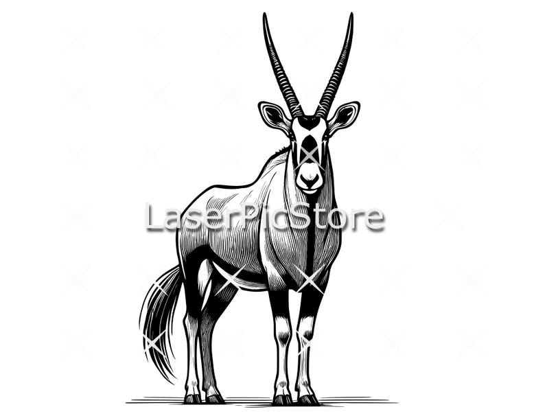 Gemsbok Vector File - SVG AI DXF - African Animal Svg - South African ...