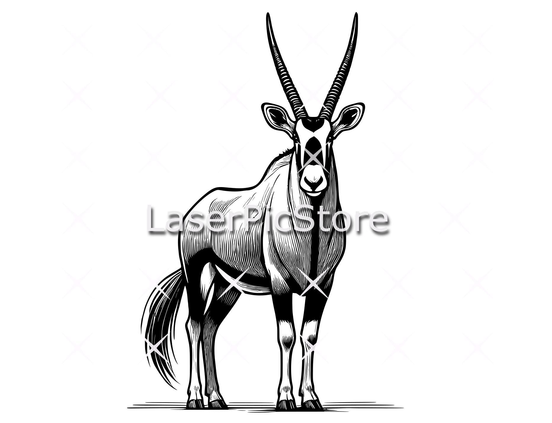 Gemsbok Vector File - SVG AI DXF - African Animal Svg - South African ...