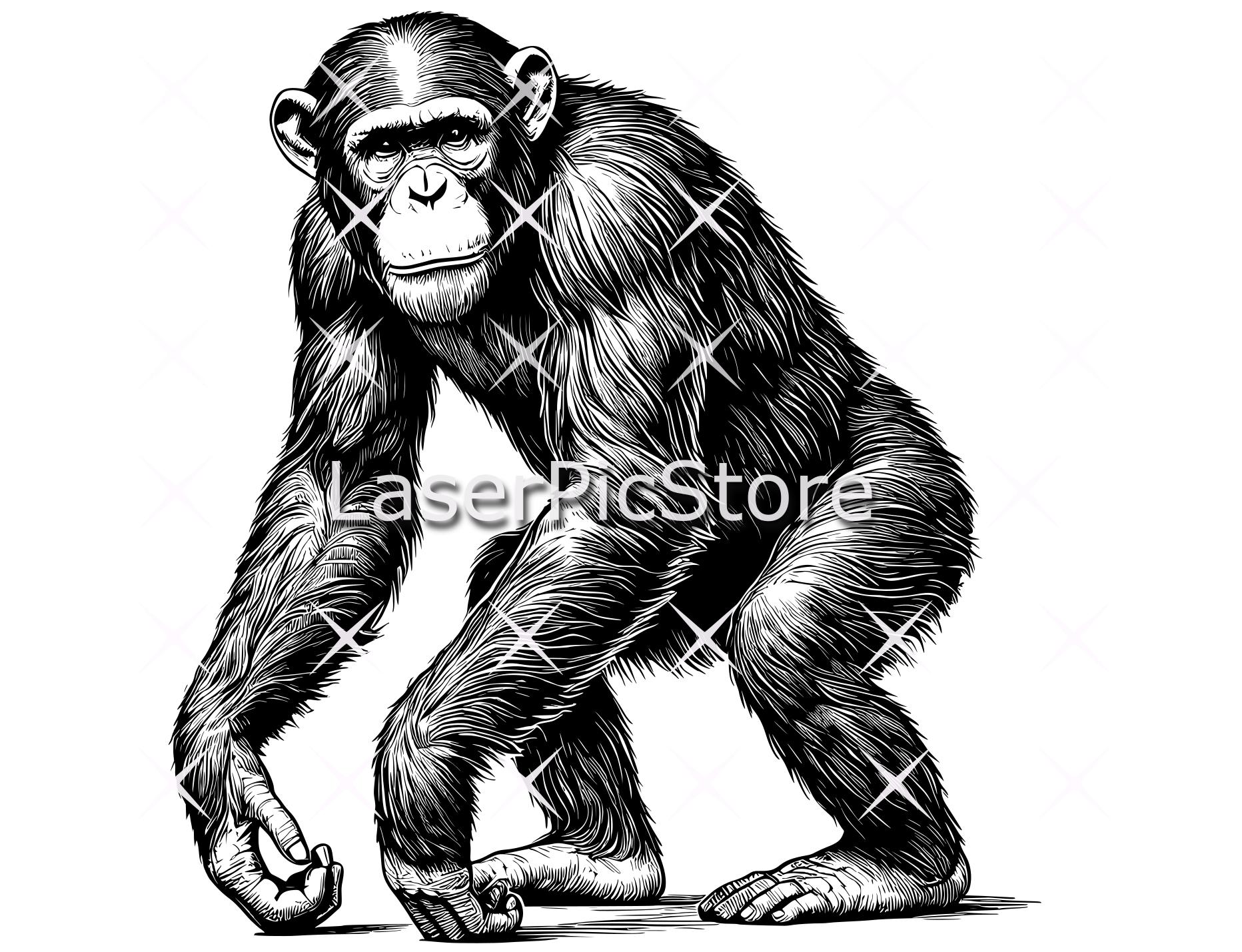 African Animal Vector Files - SVG AI DXF and More - 10 Animals - Set 2 ...