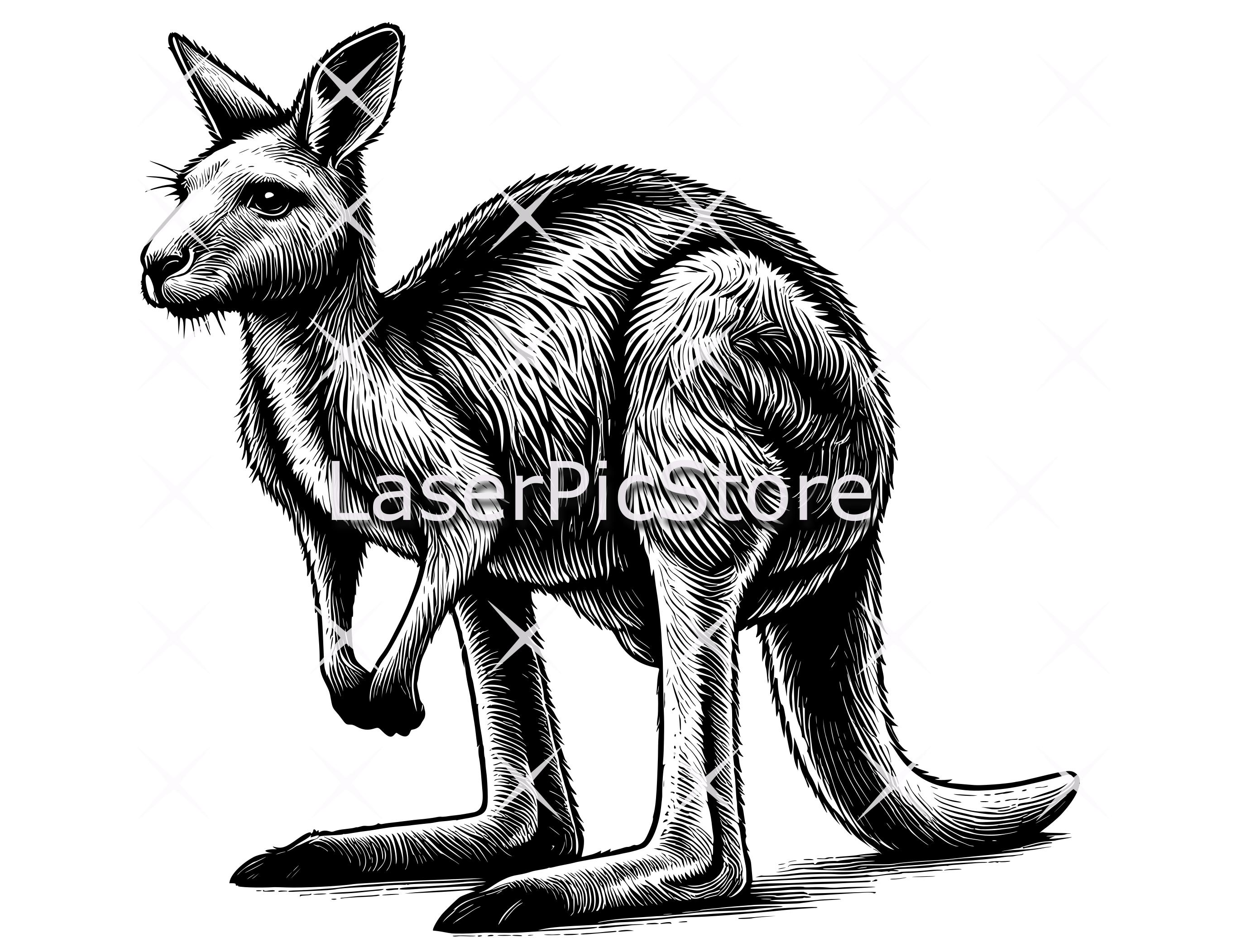 Kangaroo Vector File - SVG AI DXF - Australian Animal Svg - Kangaroo ...