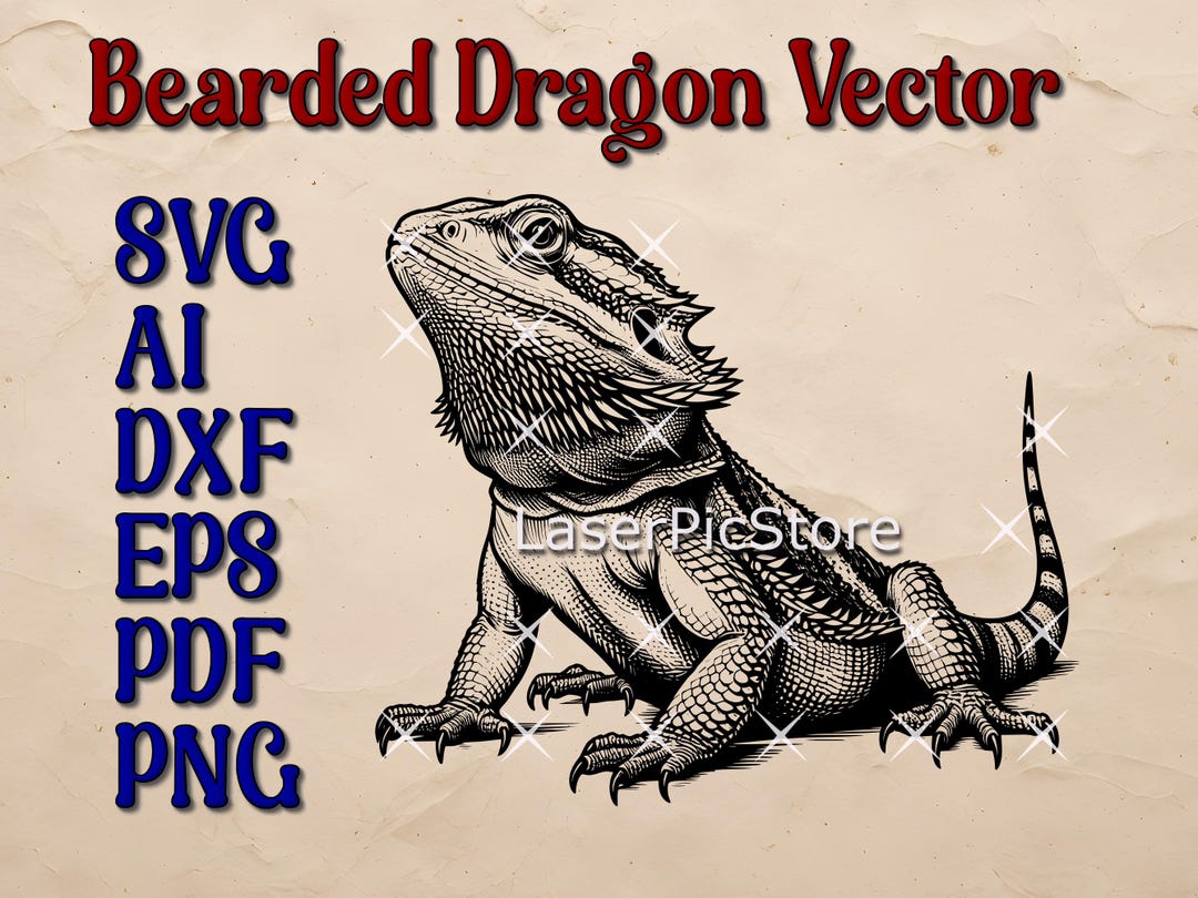 Bearded Dragon Vector File - SVG AI DXF - Australian Animal Svg ...