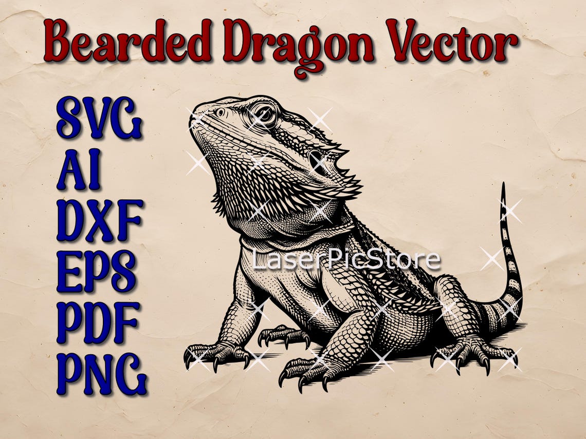 Bearded Dragon Vector File - SVG AI DXF - Australian Animal Svg ...