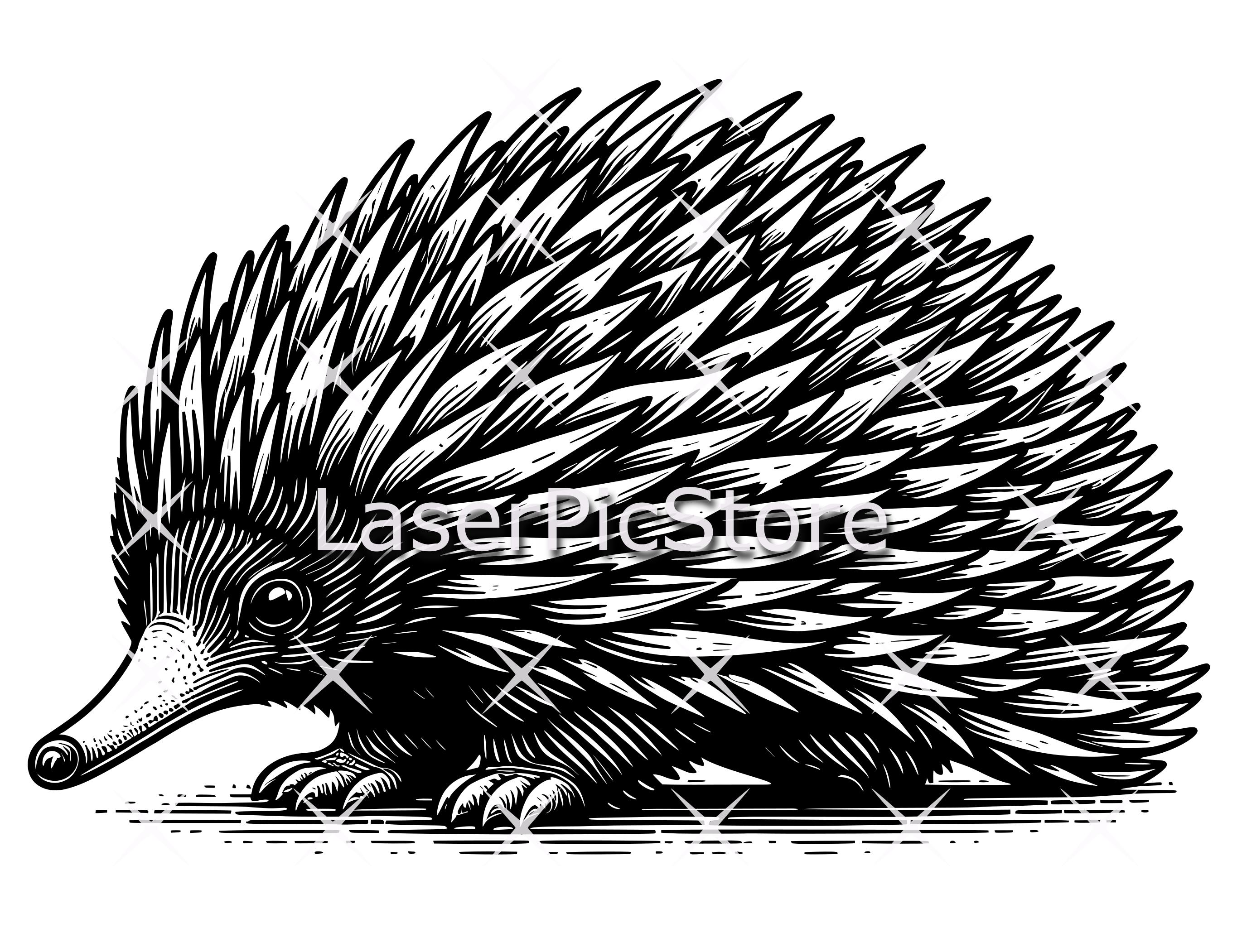 Australian Animal Vector Files - SVG AI DXF and More - 10 Animals - Set ...