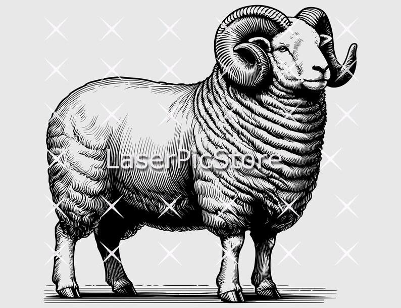Ram Vector File - SVG AI DXF - Farm Animal Svg - Sheep Engraving - Etsy