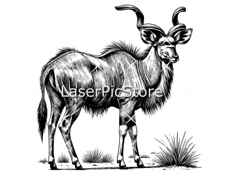Greater Kudu Vector File - SVG AI DXF - African Animal Svg - Kudu Laser ...