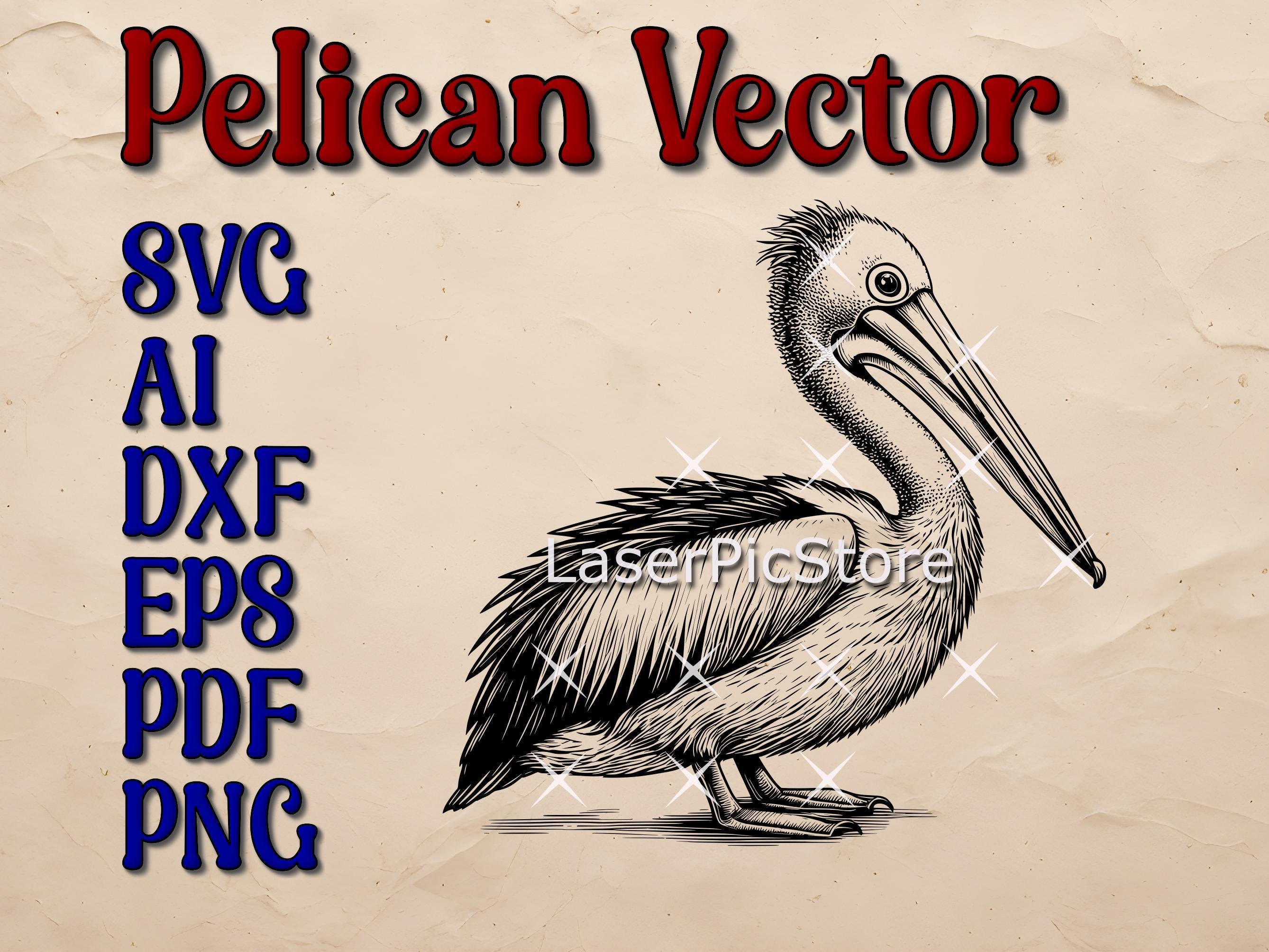 Pelican Vector File - SVG AI DXF and More - Australian Animal Svg ...