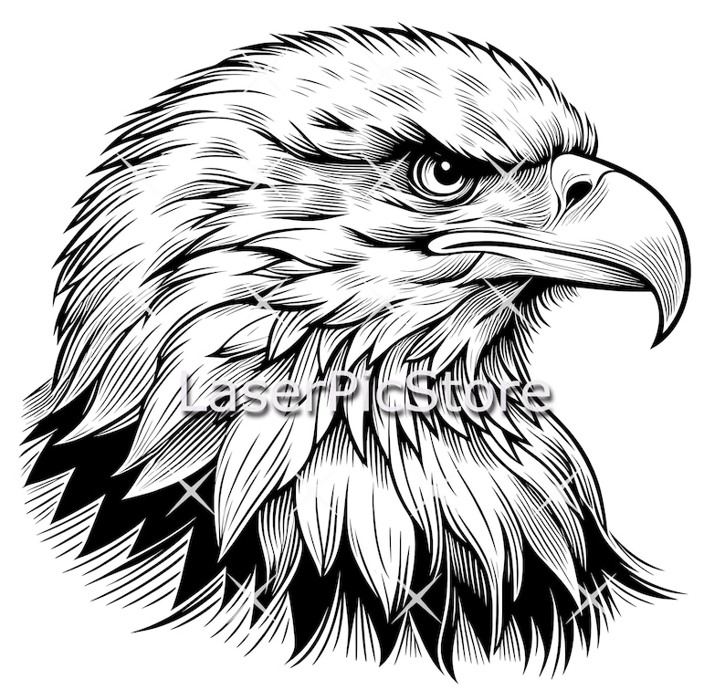 Bald Eagle Head Vector File - SVG AI DXF and More - American Animal Svg ...