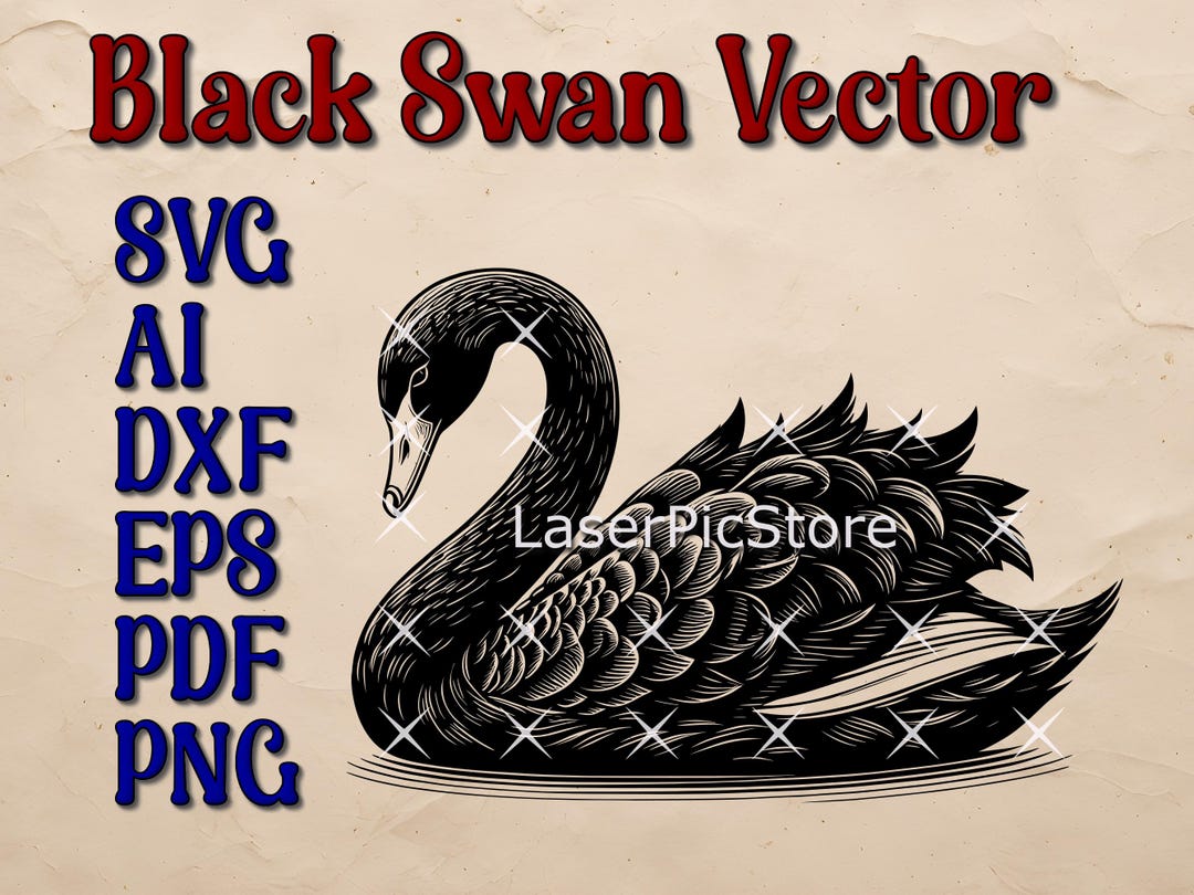 Black Swan Vector File - SVG AI DXF and More - Australian Bird Svg - Etsy