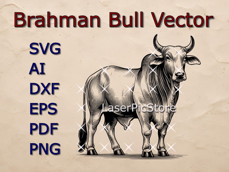 Brahman Bull Vector File - SVG AI DXF - Farm Animal Svg - Cattle ...