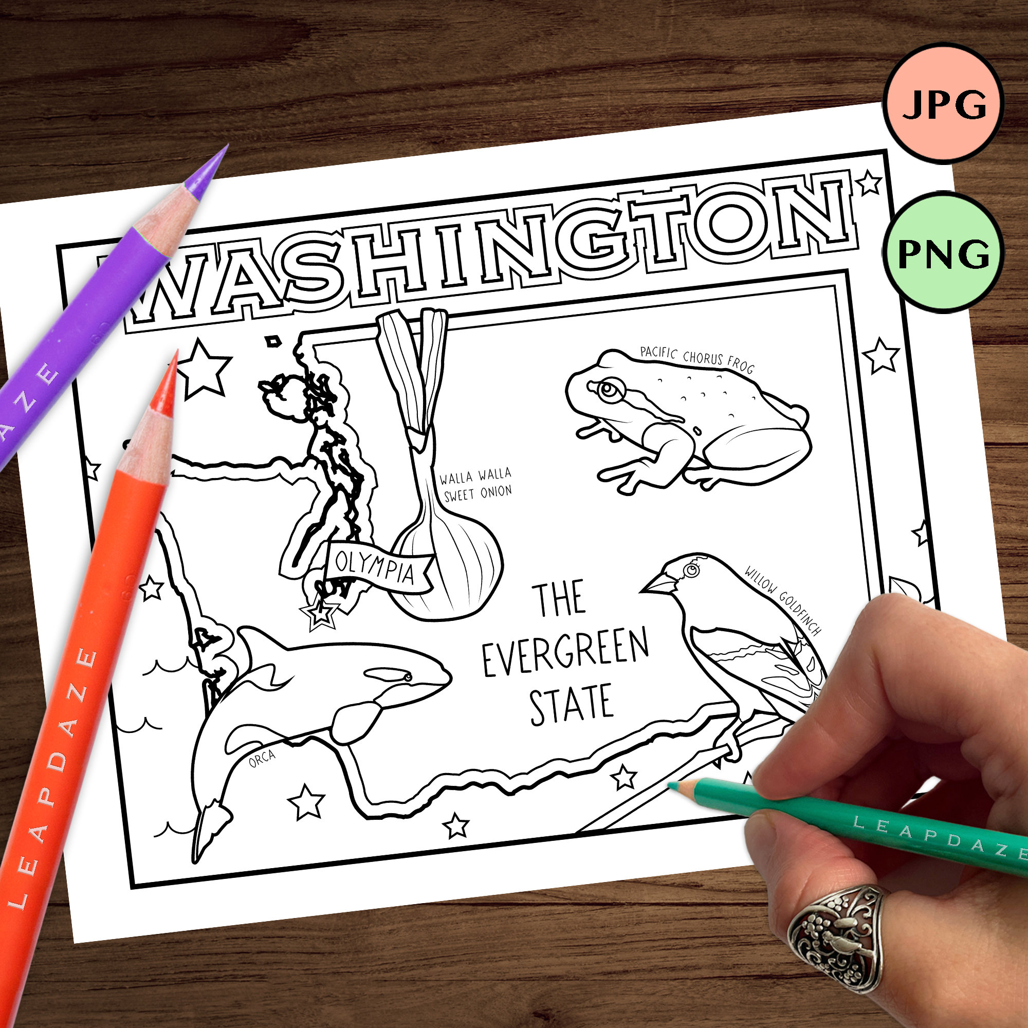WASHINGTON Coloring Page With State Facts - Printable United States of ...