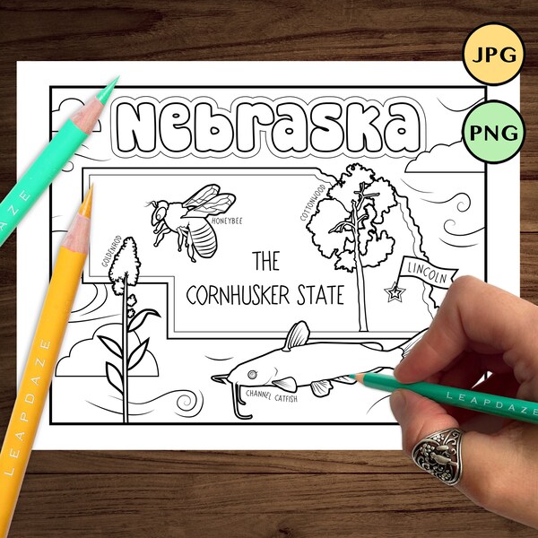 COLORADO Coloring Page With State Facts Printable United States of ...