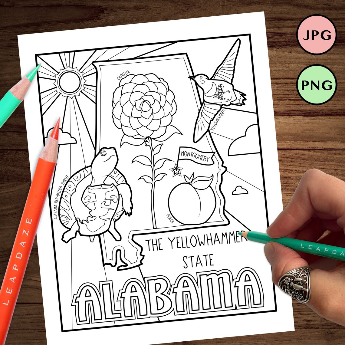 ALABAMA Coloring Page With State Facts - Printable United States of ...