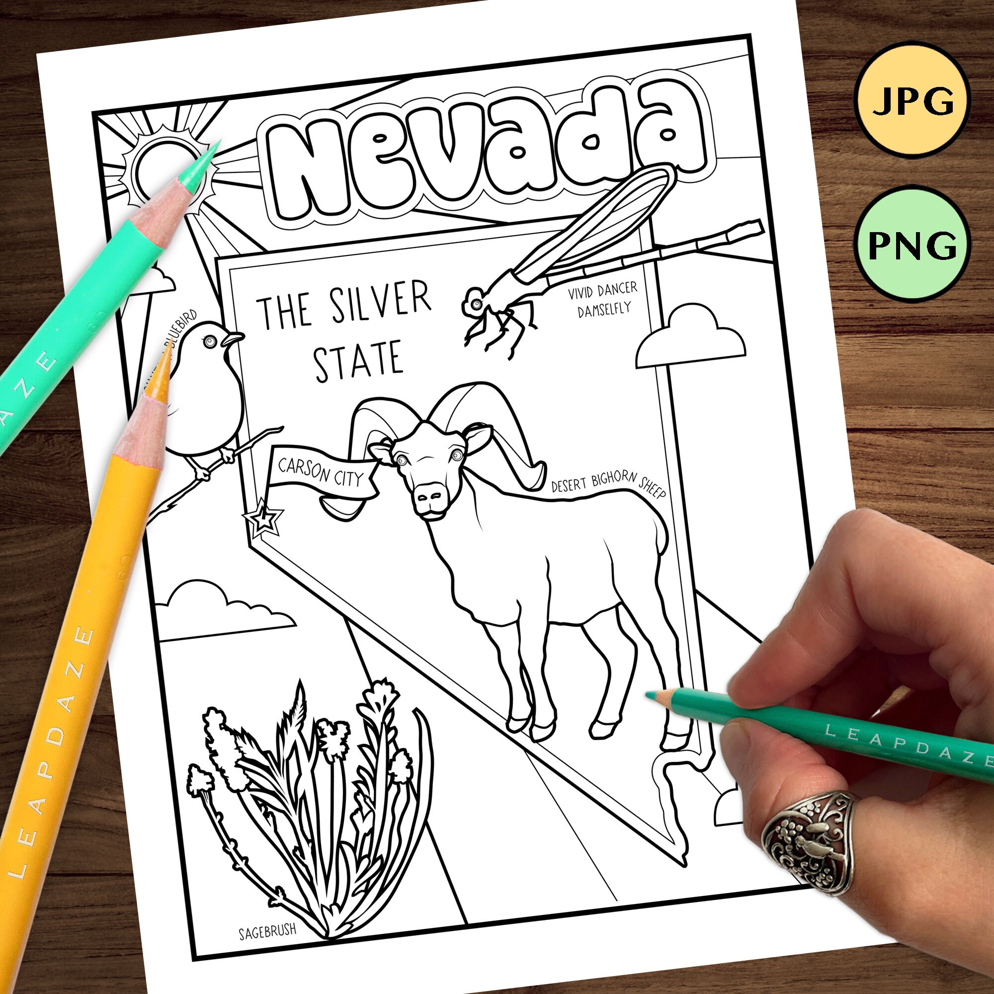 NEVADA Coloring Page With State Facts Printable United States of ...